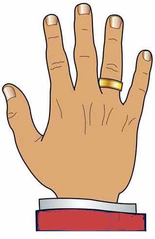 What does the finger you wear your ring on symbolise? | MasonicBuys